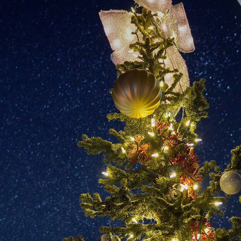 12/25/25 Conditions Report | Mission Ridge Ski and Board Resort